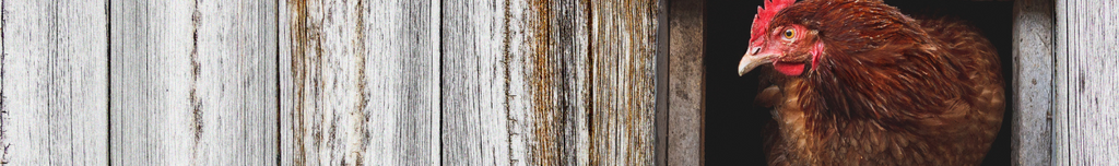 All Locations – VPSI